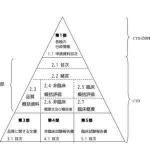 ICH-E3 治験の総括報告書の構成と内容に関するガイドライン